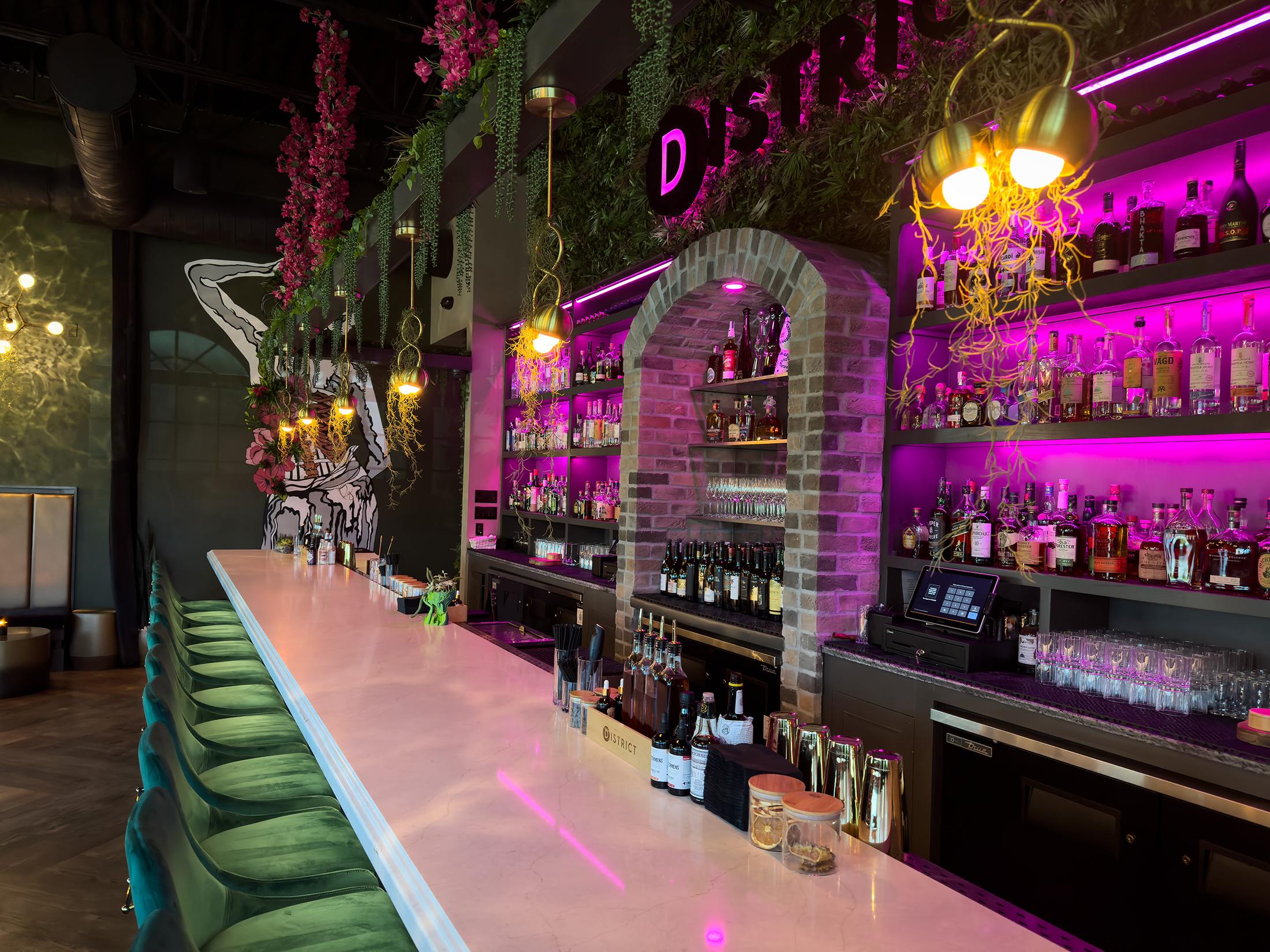 Naples Sushi Restaurant | District Naples | Cocktail Lounge